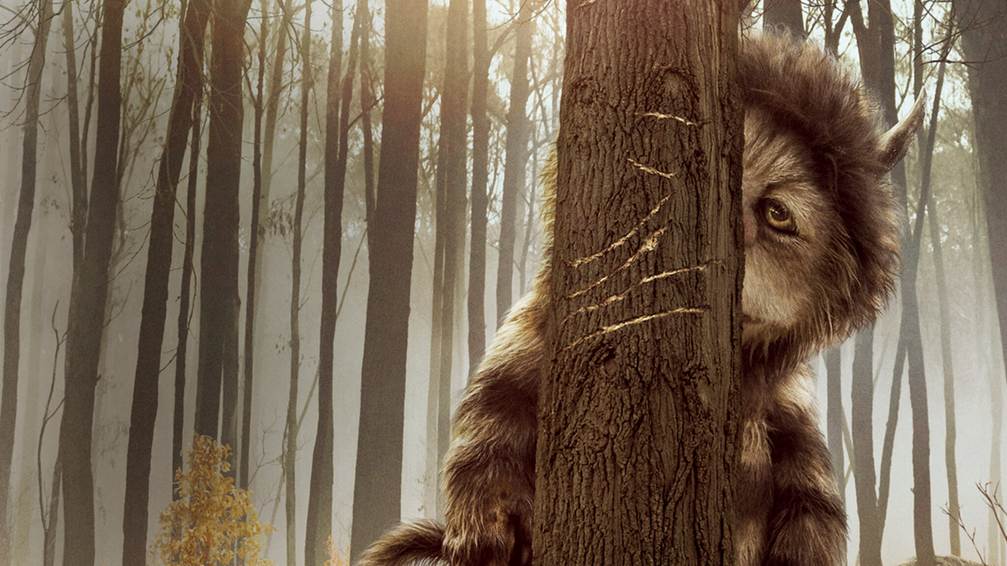 Wild Things Movie Wallpaper