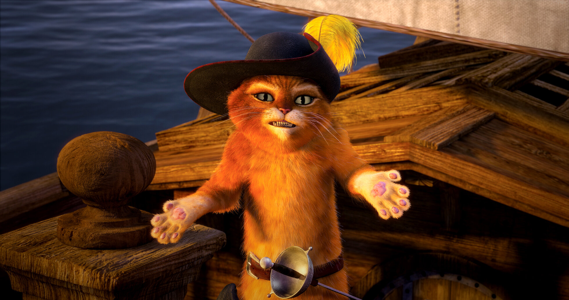 Yeux De Chat Mignons Shrek